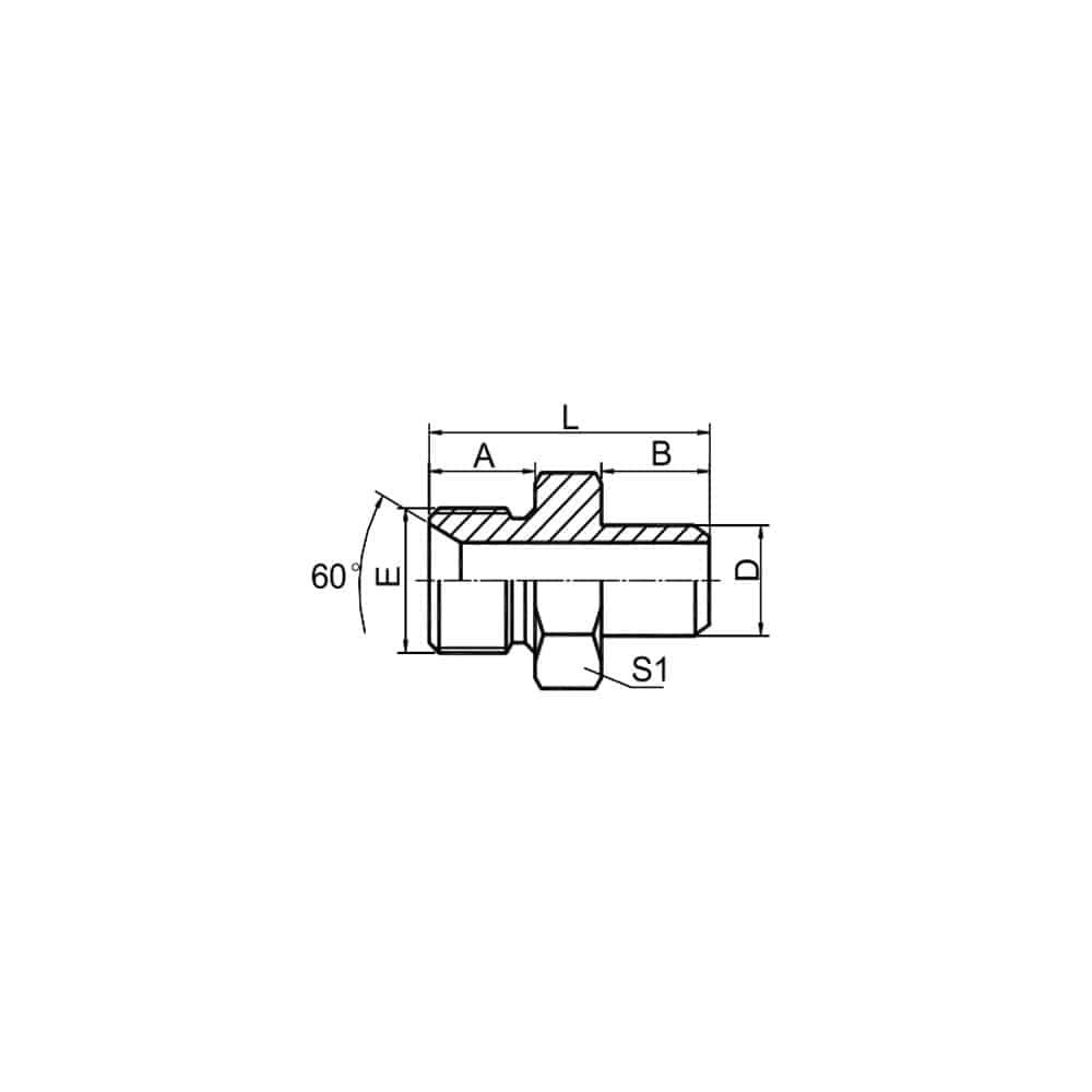 1BW BSP ネジ 60° コーン アダプター フィッティング | ジェムコ